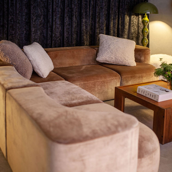 Products – CCSS TM