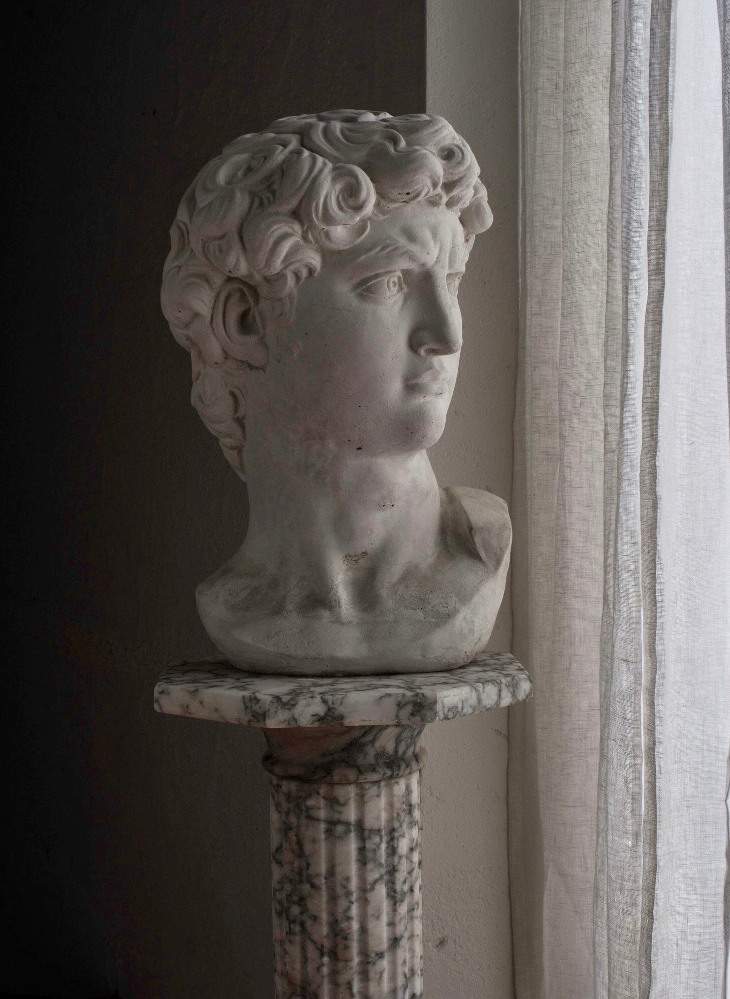 Plaster Bust of David, Neo Classical style – CCSS TM